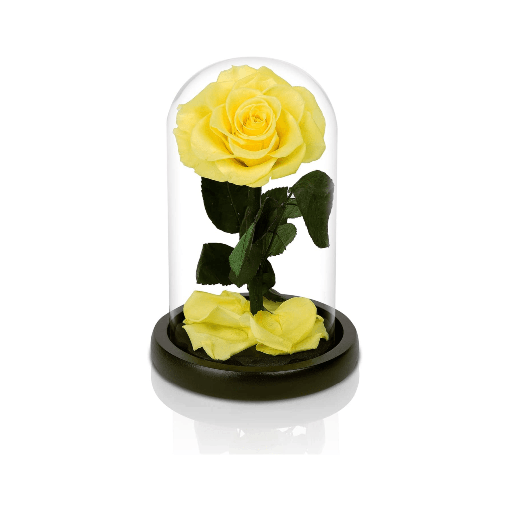 Forever Flowers | Preserved Blooms | Harmony Flowers